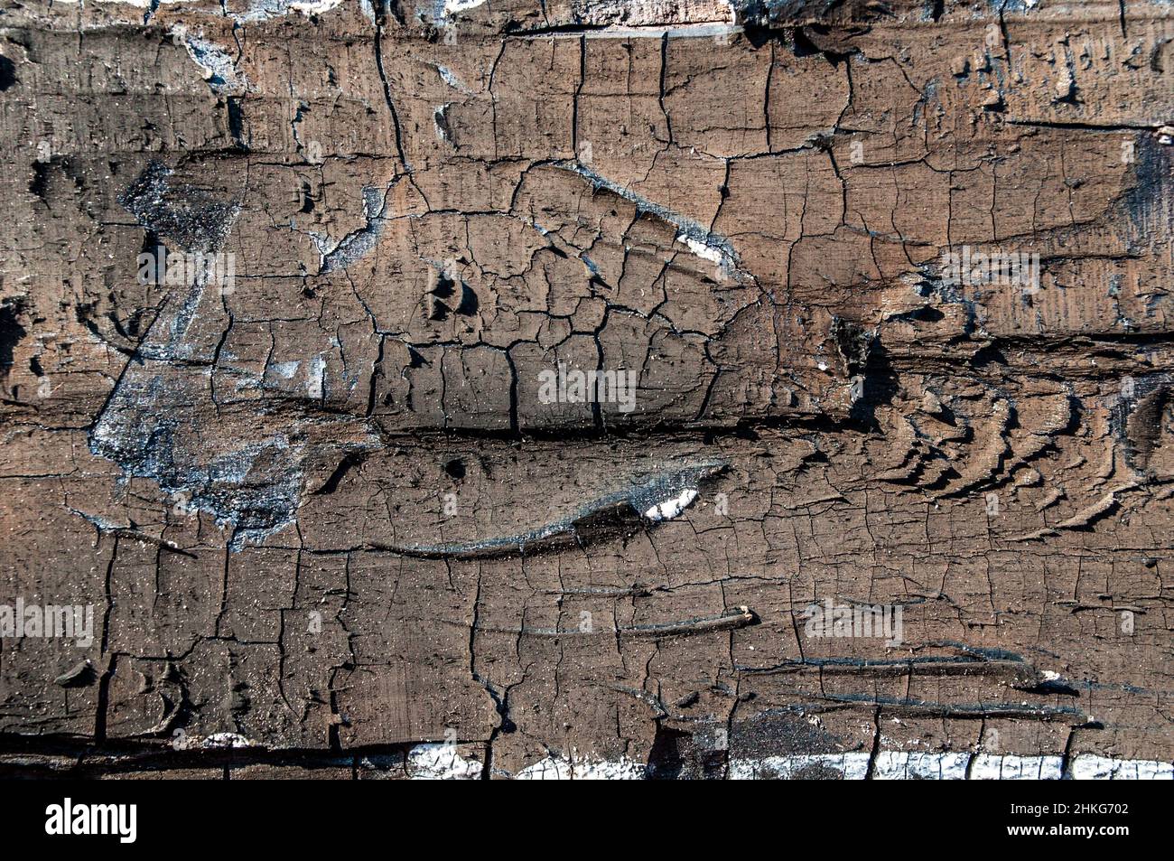 Burned Wood Texture. Background Stock Photo - Alamy