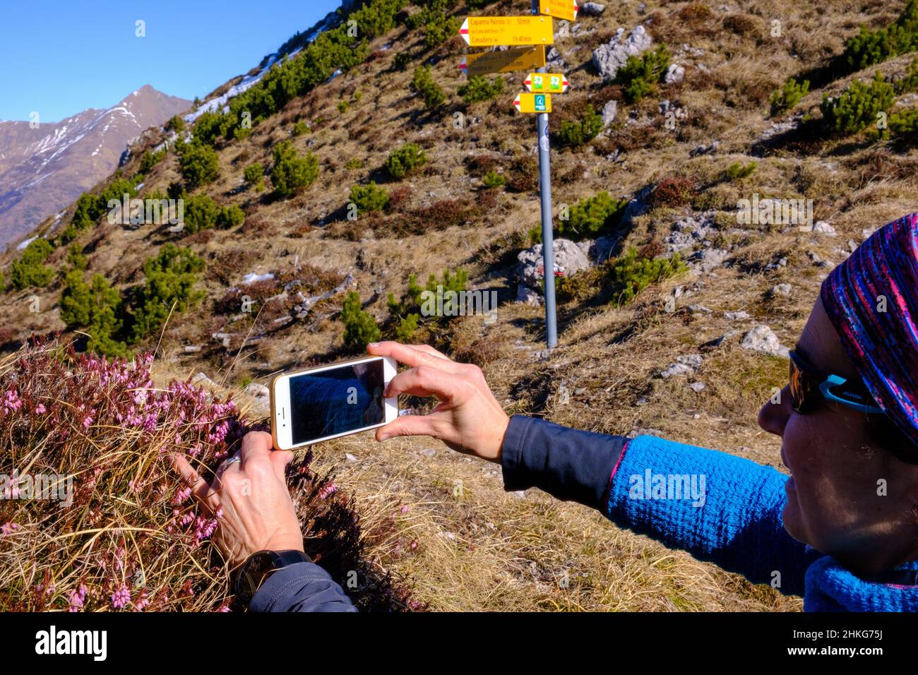 Woman taking pictures using hi-res stock photography and images - Alamy