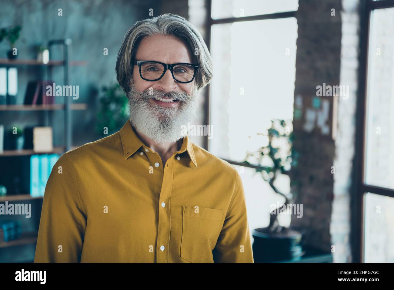 Portrait of attractive cheery skilled intellectual gray-haired man top ...