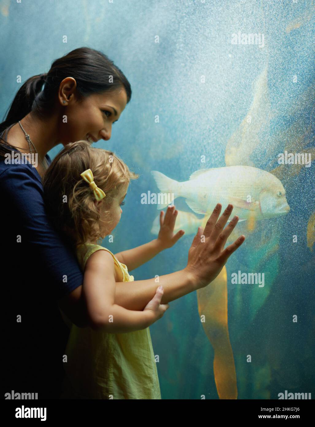 See, he's a friendly fish. Shot of a mother and daughter on an outing ...