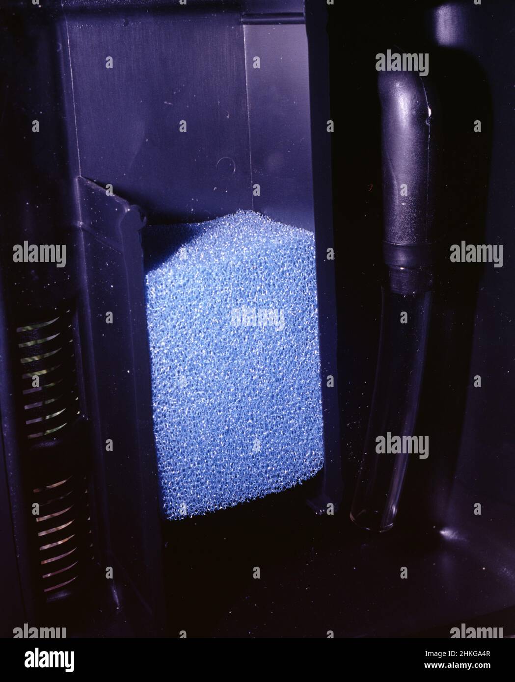 Aquarium biological sponge filtration Stock Photo - Alamy