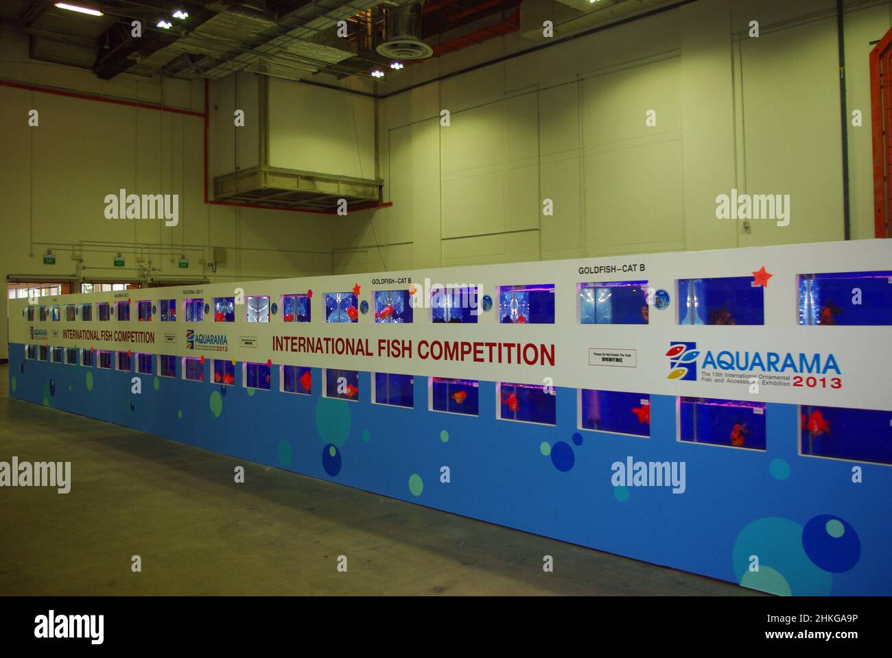 International aquarium fish competition, Singapore Stock Photo - Alamy