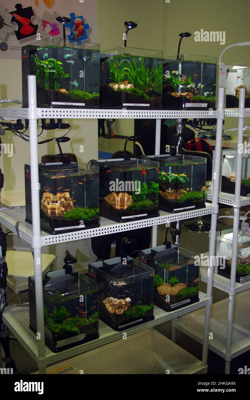 Freshwater fish tanks hi-res stock photography and images - Alamy