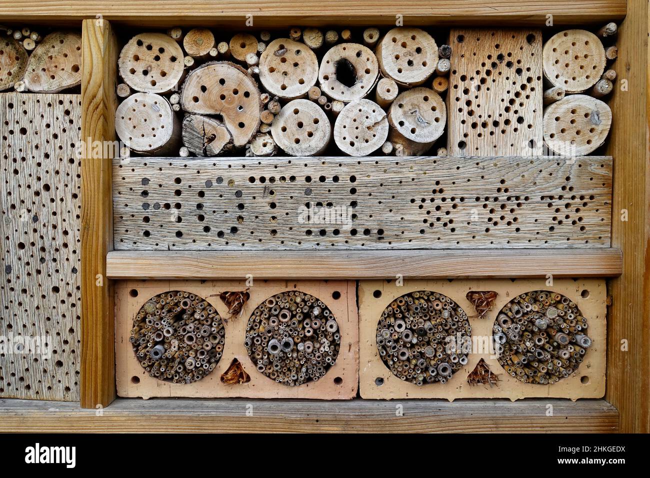 Insect hotel, also known as a bug hotel or insect house, is a manmade ...