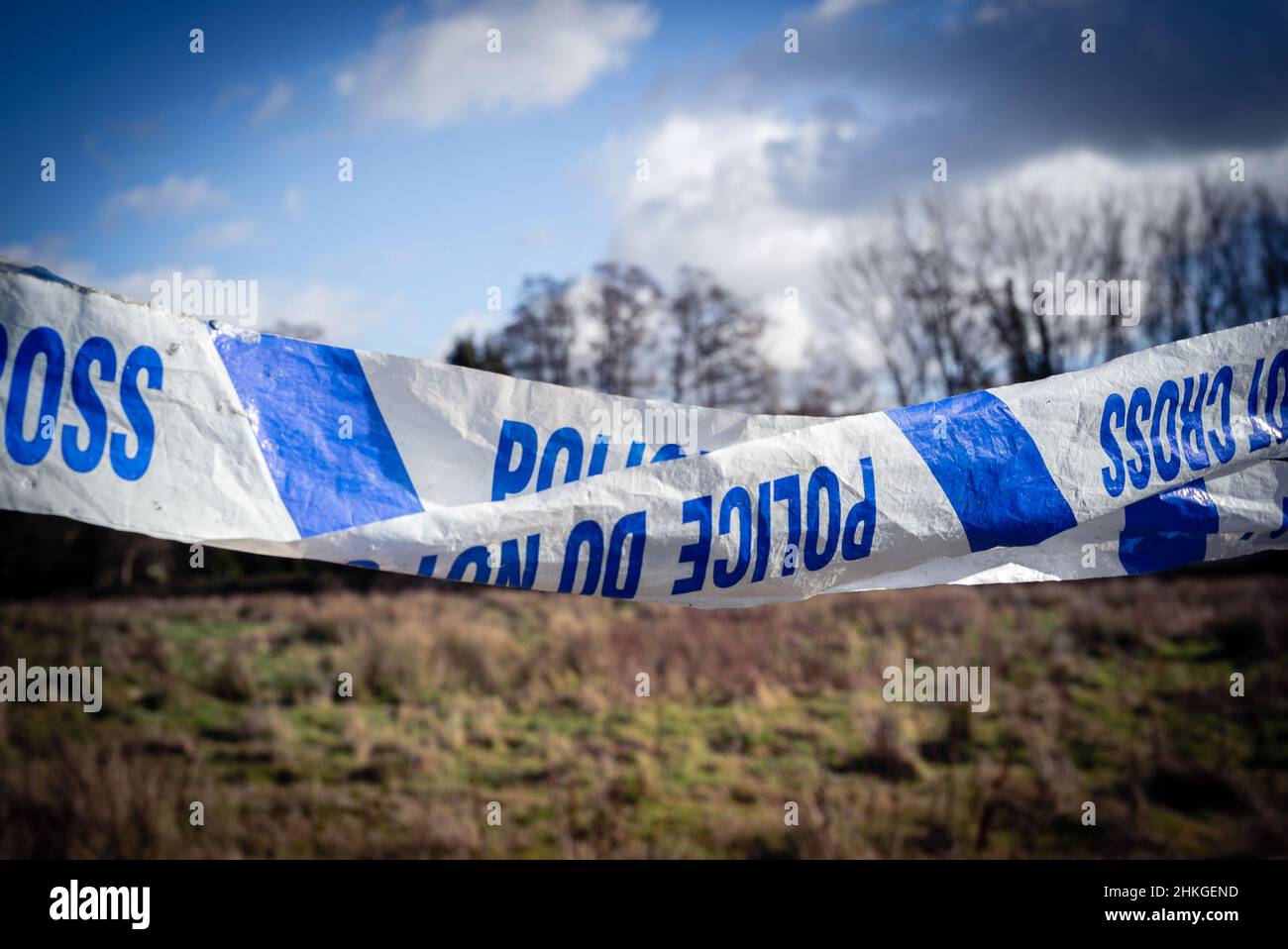Crime tree hi-res stock photography and images - Alamy