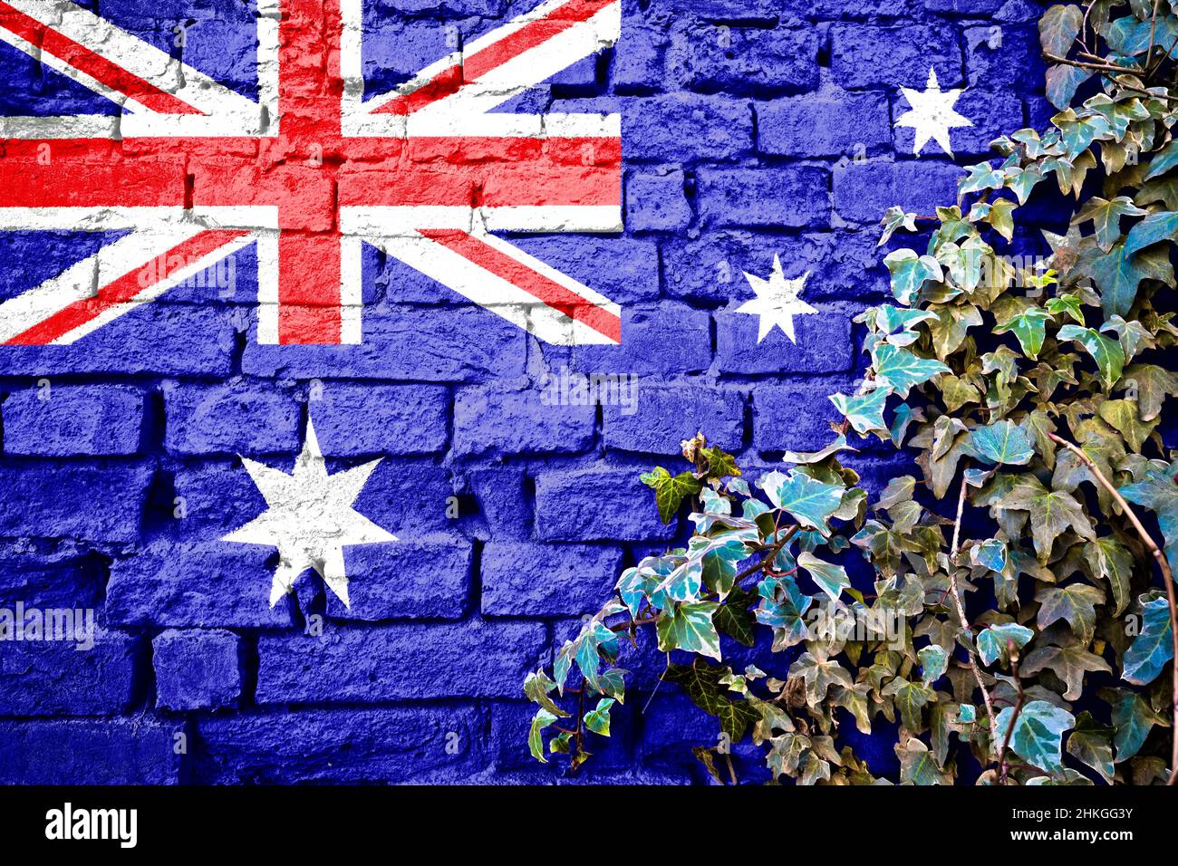 Australian grunge flag on brick wall with ivy plant, country symbol ...