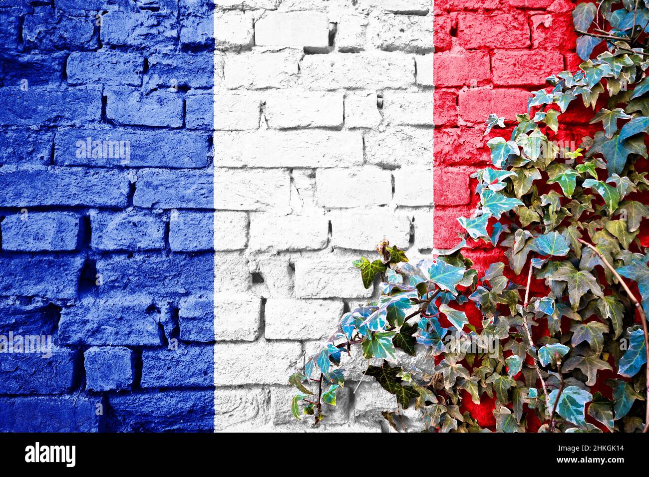 French grunge flag on brick wall with ivy plant, country symbol concept ...