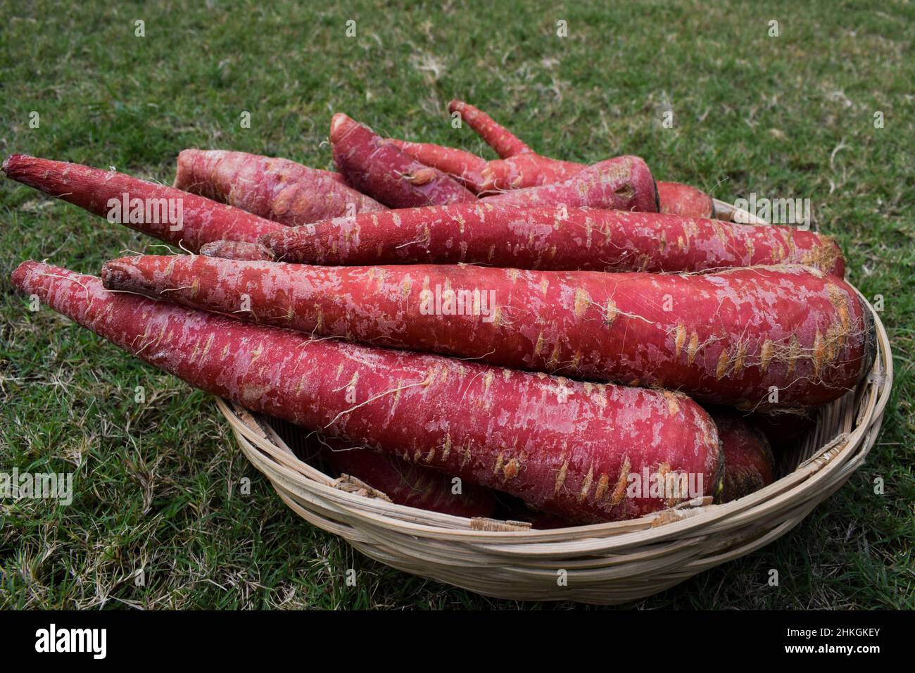 Indian red carrots indian market hi-res stock photography and images ...
