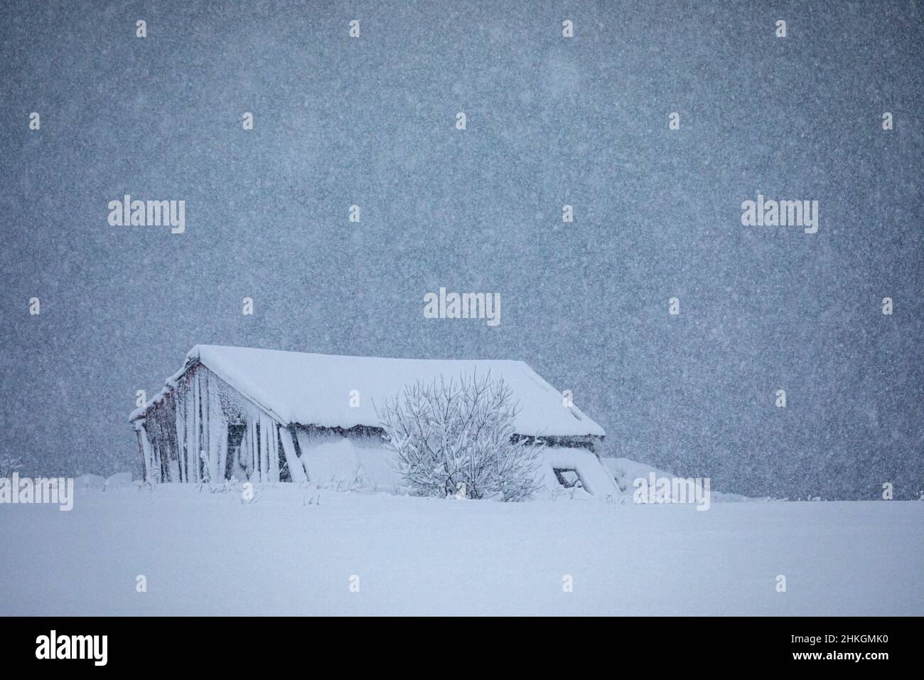 Norwegian shed hi-res stock photography and images - Alamy