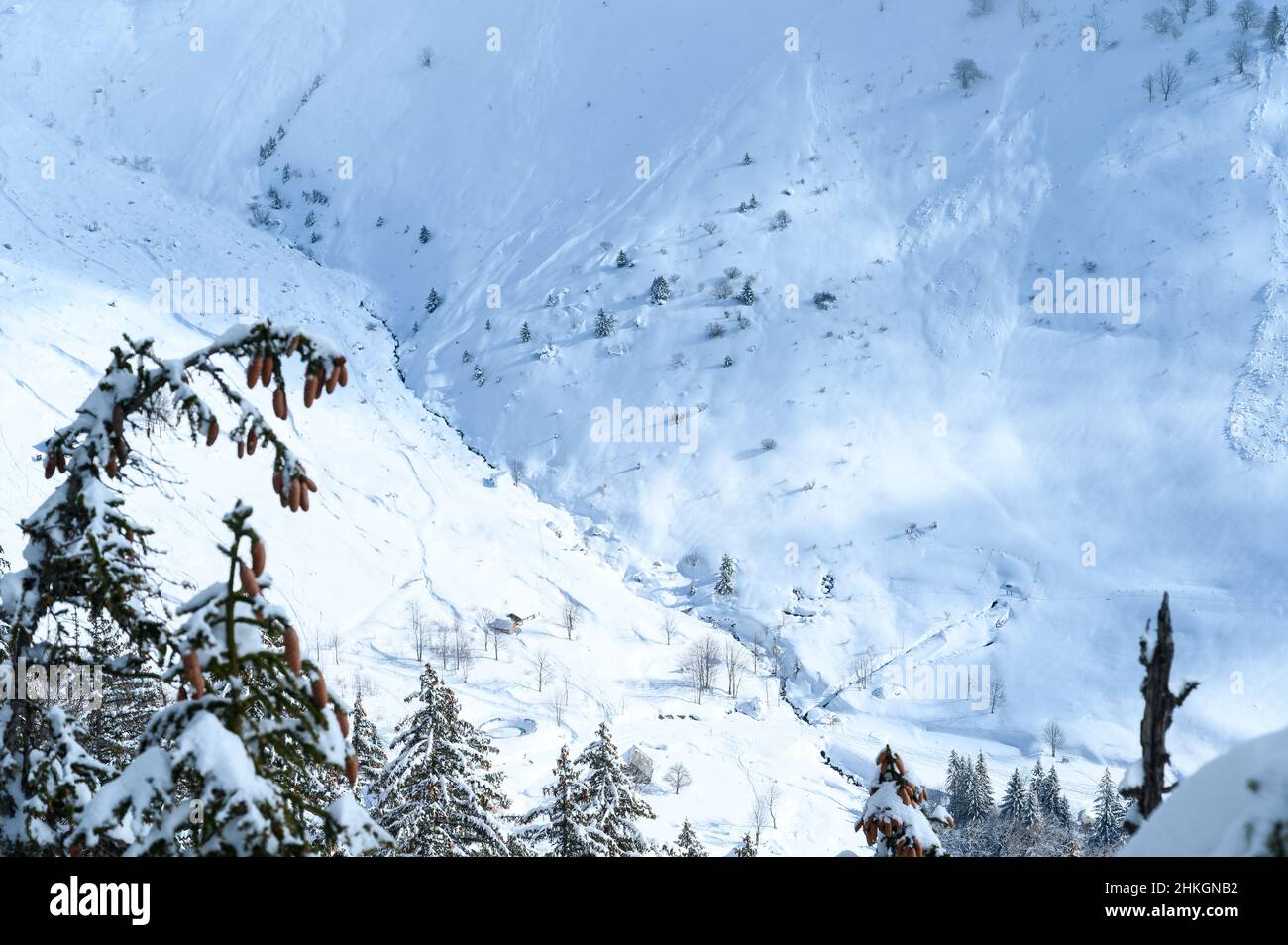 Really beautiful top down shot hi-res stock photography and images - Alamy
