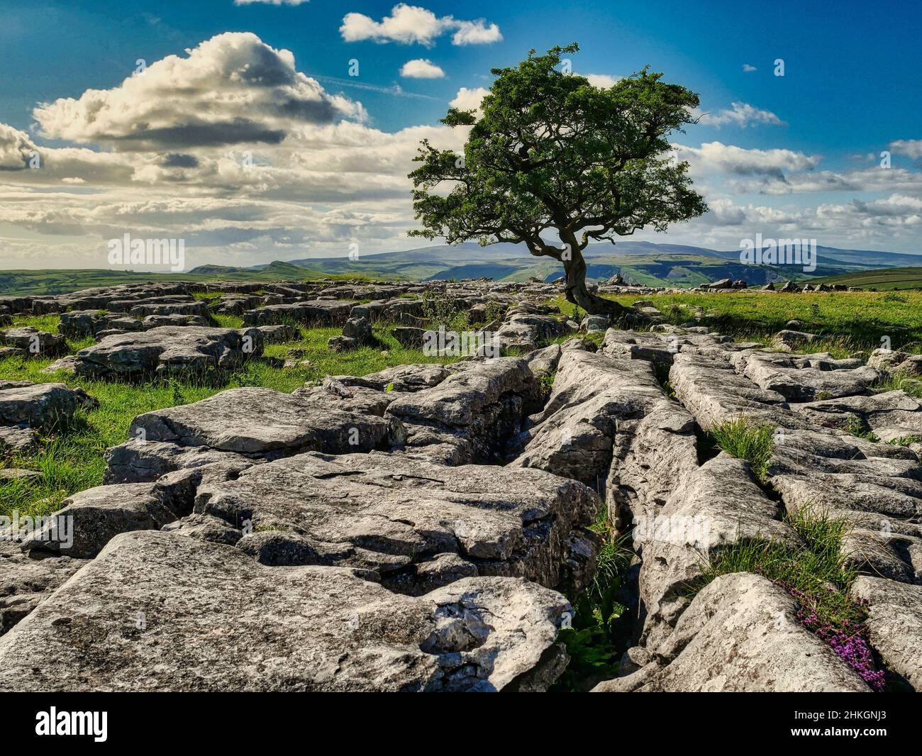 Winskill stones Malham Yorkshire Dales Stock Photo - Alamy