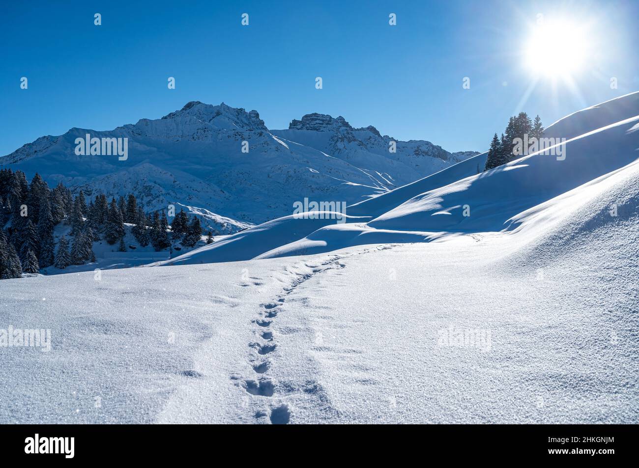 Foot trail hi-res stock photography and images - Alamy