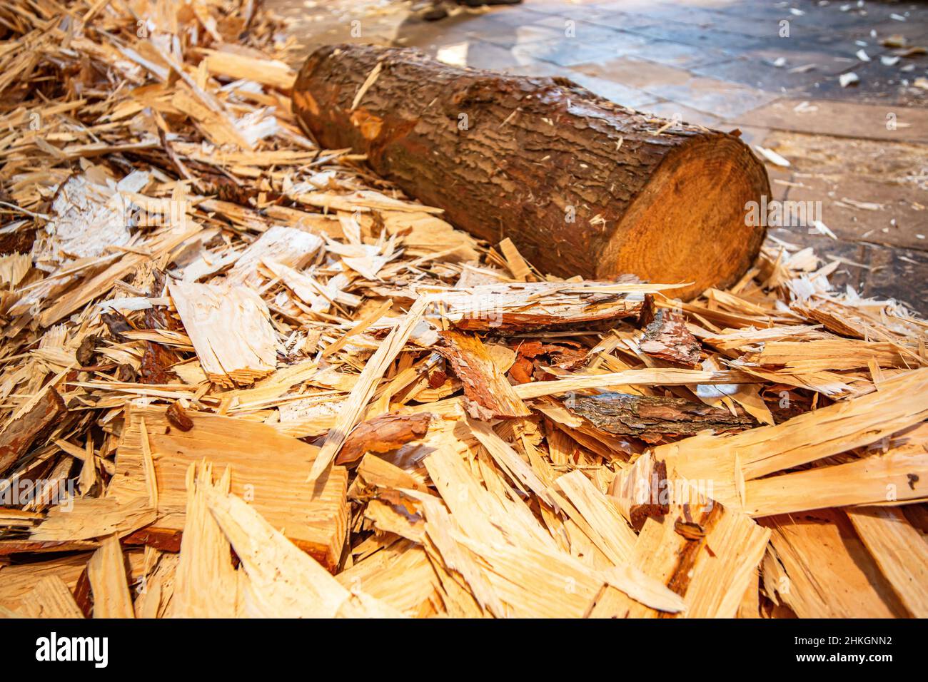 Major woodwork restoration in York Minster Cathedral Stock Photo - Alamy