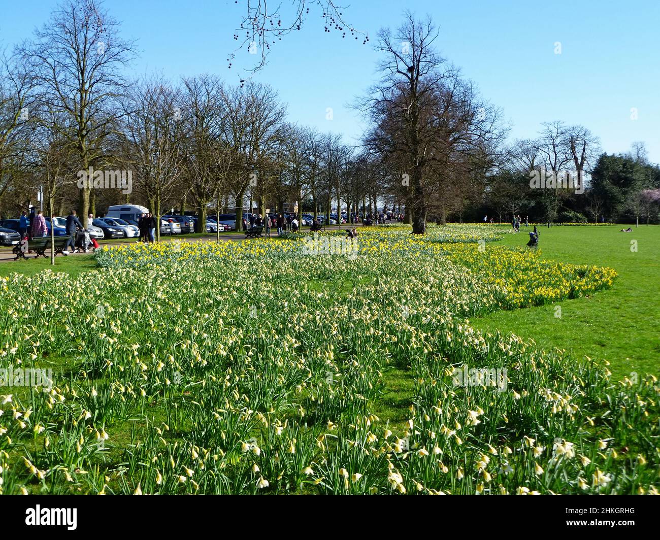 Greenwich park in early spring with people walking on a bright sunny ...