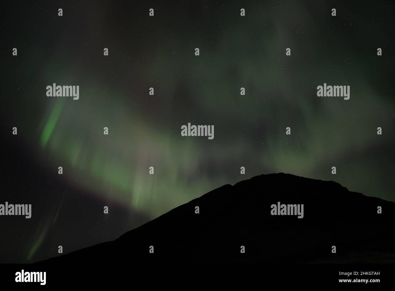 Northern lights Hoffell southern iceland, Iceland, Europe Stock Photo ...