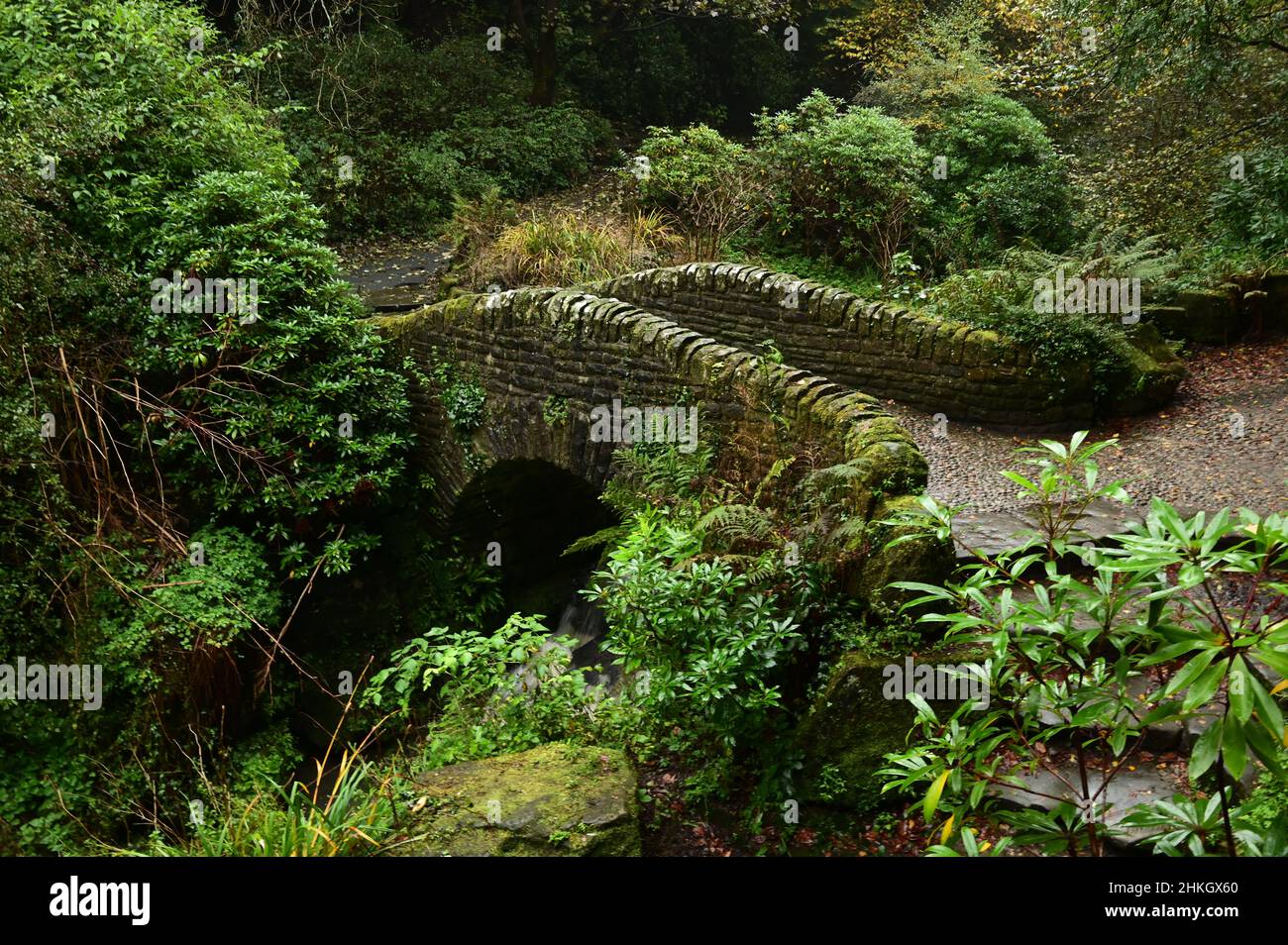 A view of a small stone bridge over a river in Pittencrieff park in the ...