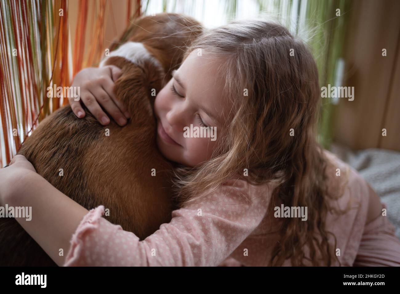 little cute girl hugs a beagle dog sitting on the windowsill Stock Photo - Alamy