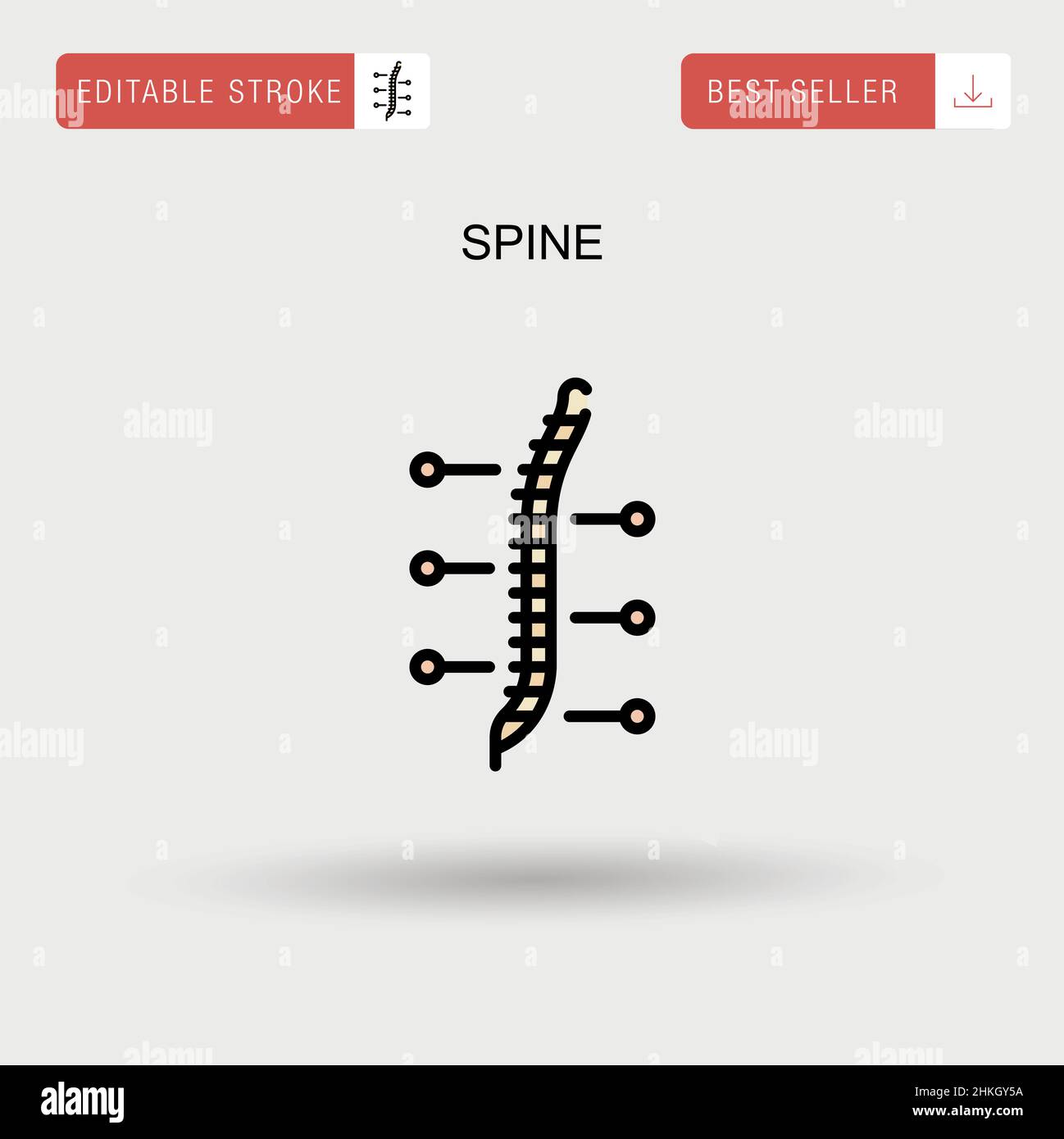 Spine Stock Vector Images - Alamy