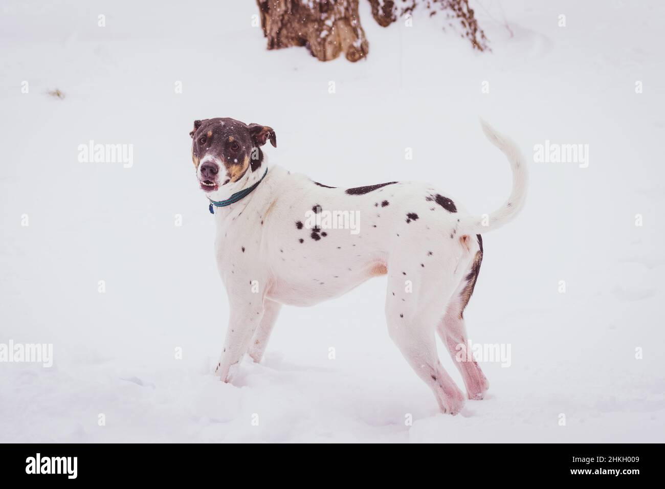 First loves hi-res stock photography and images - Alamy