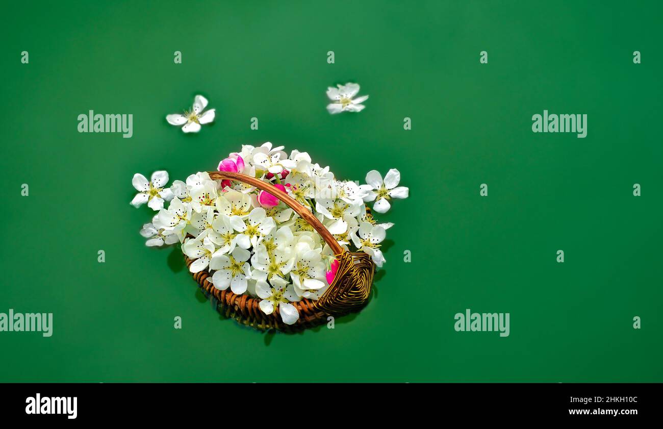 Smelly spring blossoms in a handmade wooden basket floating in water ...