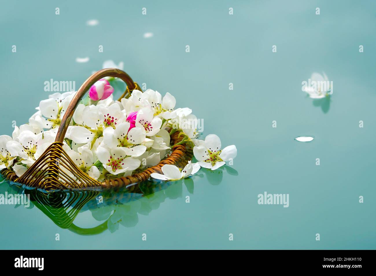 Smelly spring blossoms in a handmade wooden basket floating in water ...
