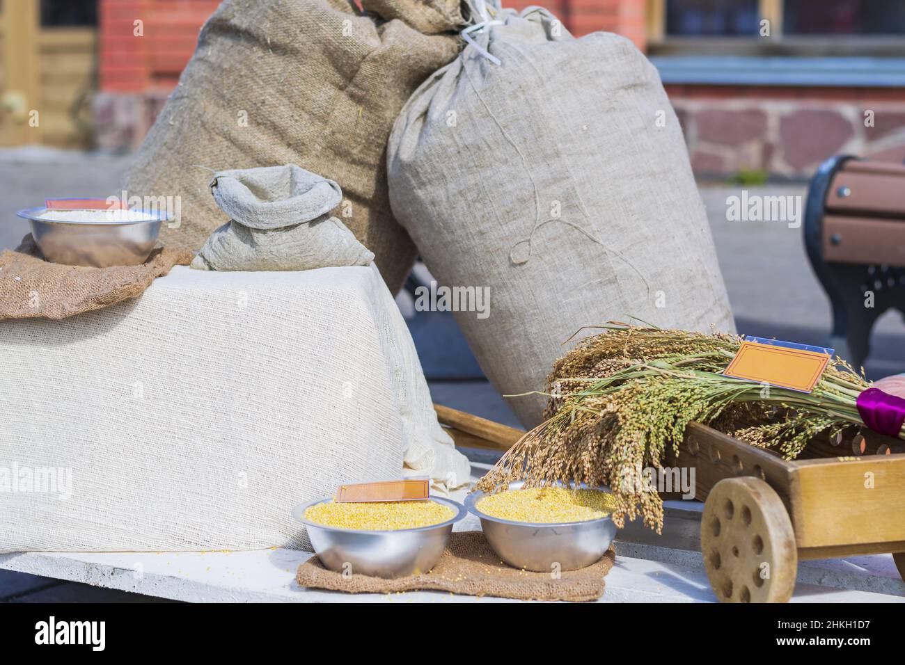 Autumn still life with cereals. Autumn fair of agricultural products ...