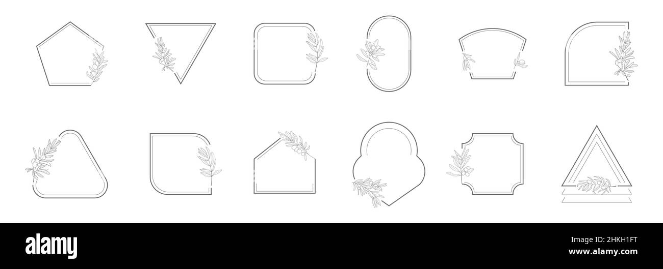 Line geometric frame with olive branch vector set in minimalistic style ...