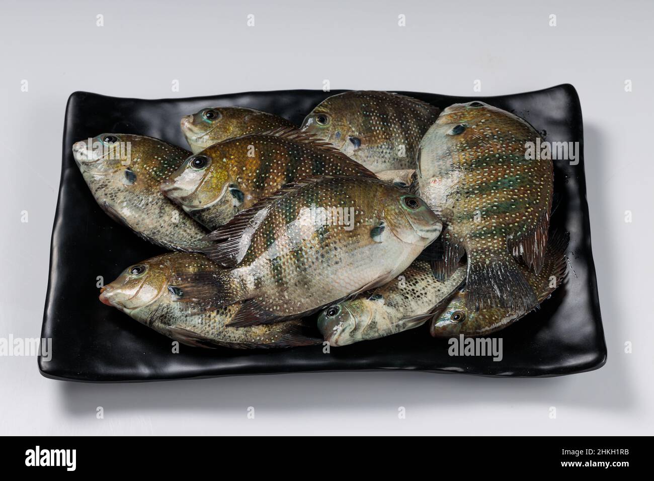 Fresh raw Kari meen Pearl spot fish arranged in a black rectangle table ...