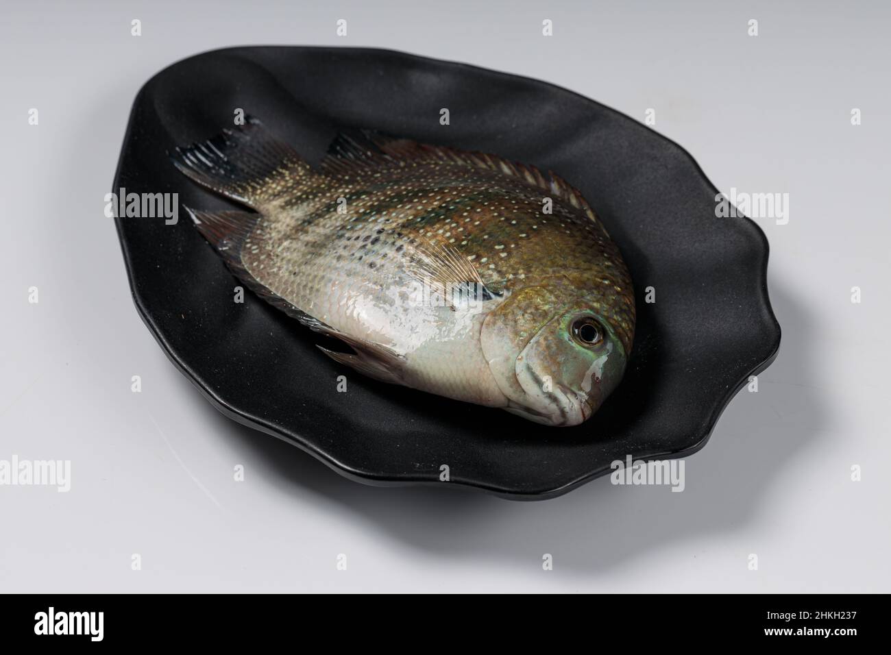 Karimeen Fish Farming