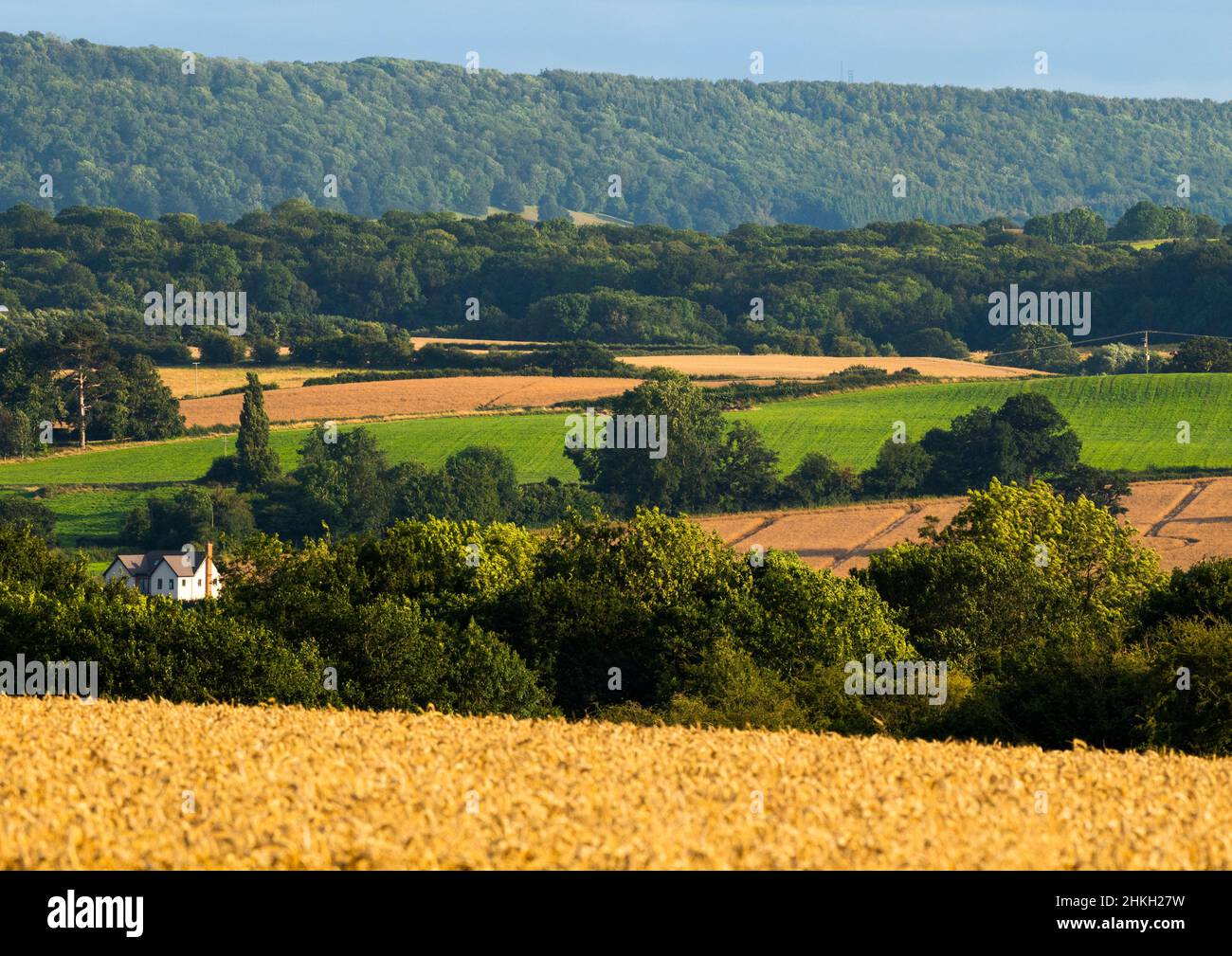 Wenlock Edge seen from near Cressage, Shropshire Stock Photo - Alamy