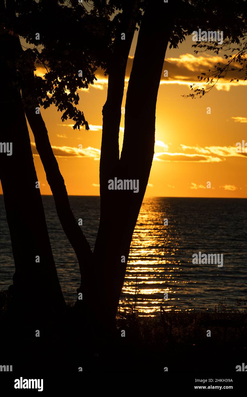 sun setting or rising over lake with tree in foreground water and ...