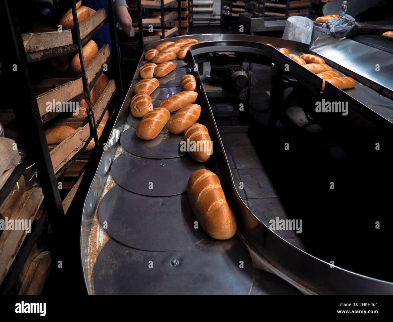 Conveyor belt with freshly baked bread. Production at the bakery ...