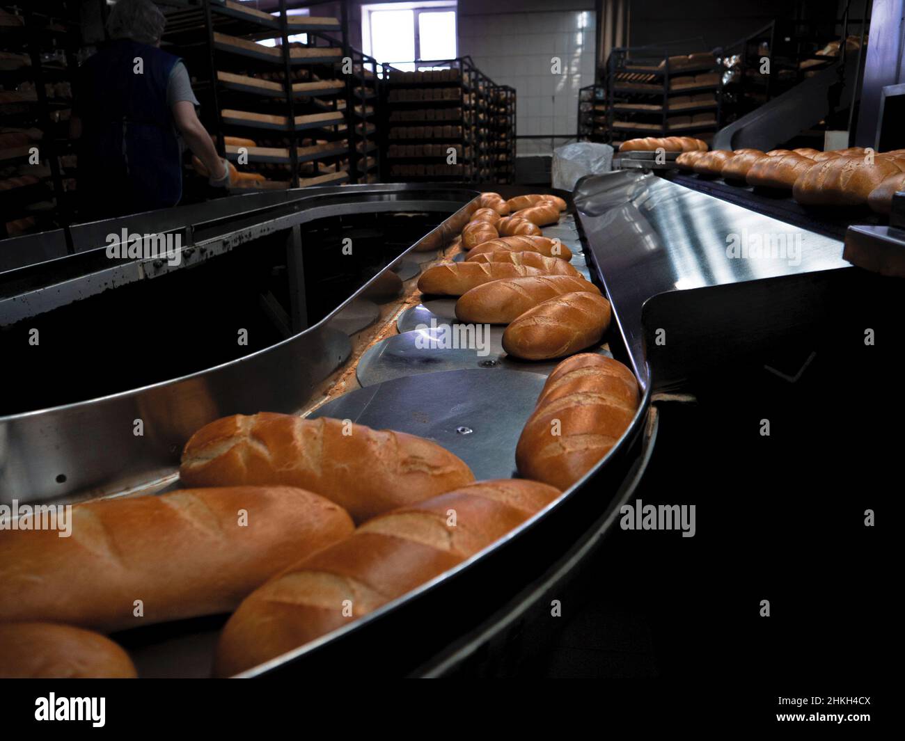 Conveyor belt with freshly baked bread. Production at the bakery ...