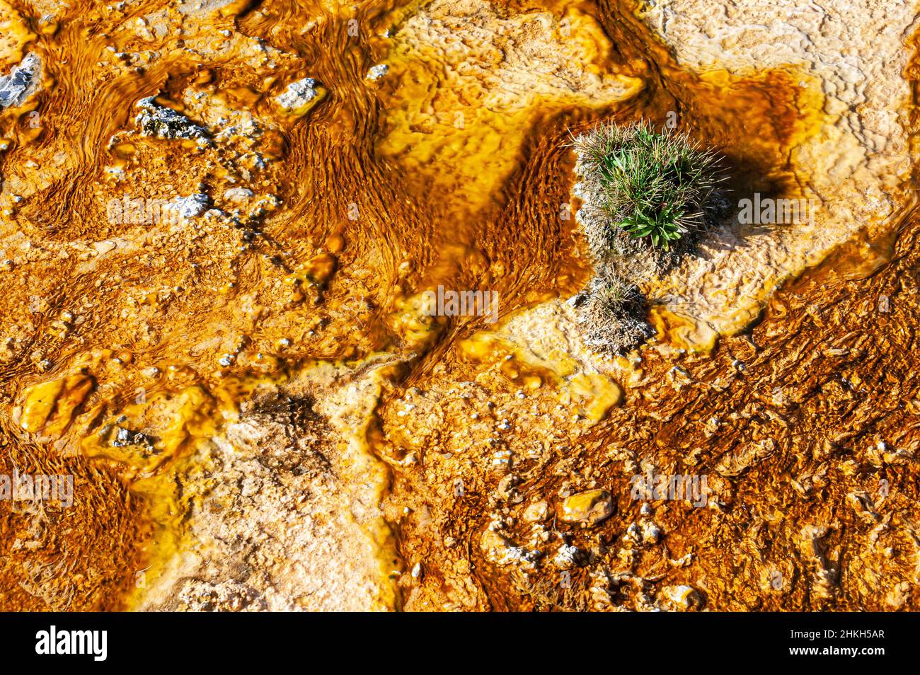 Yellowstone calcium pond detail Stock Photo - Alamy