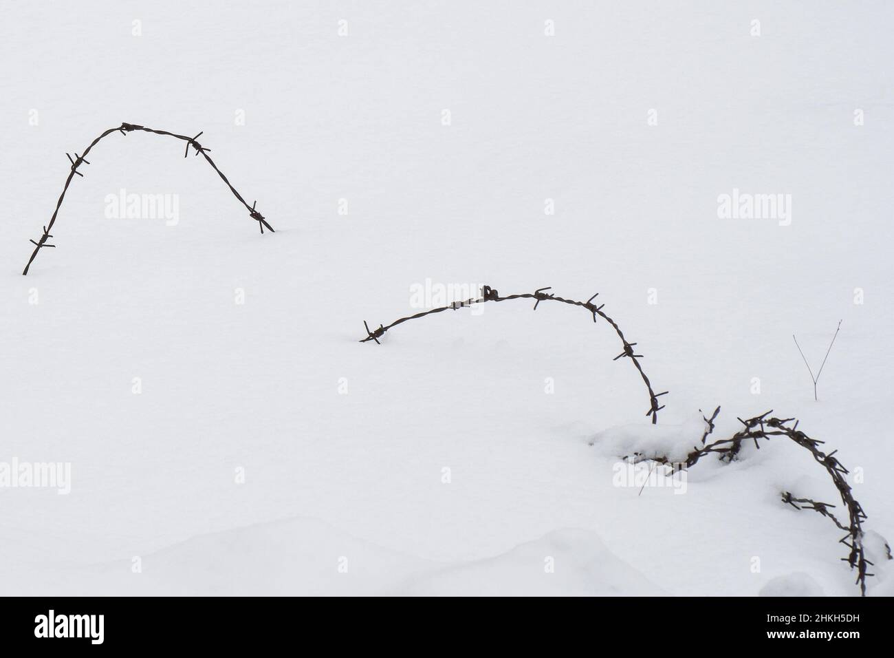 A rusty barbed wire covered by snow after a storm in the Judea ...