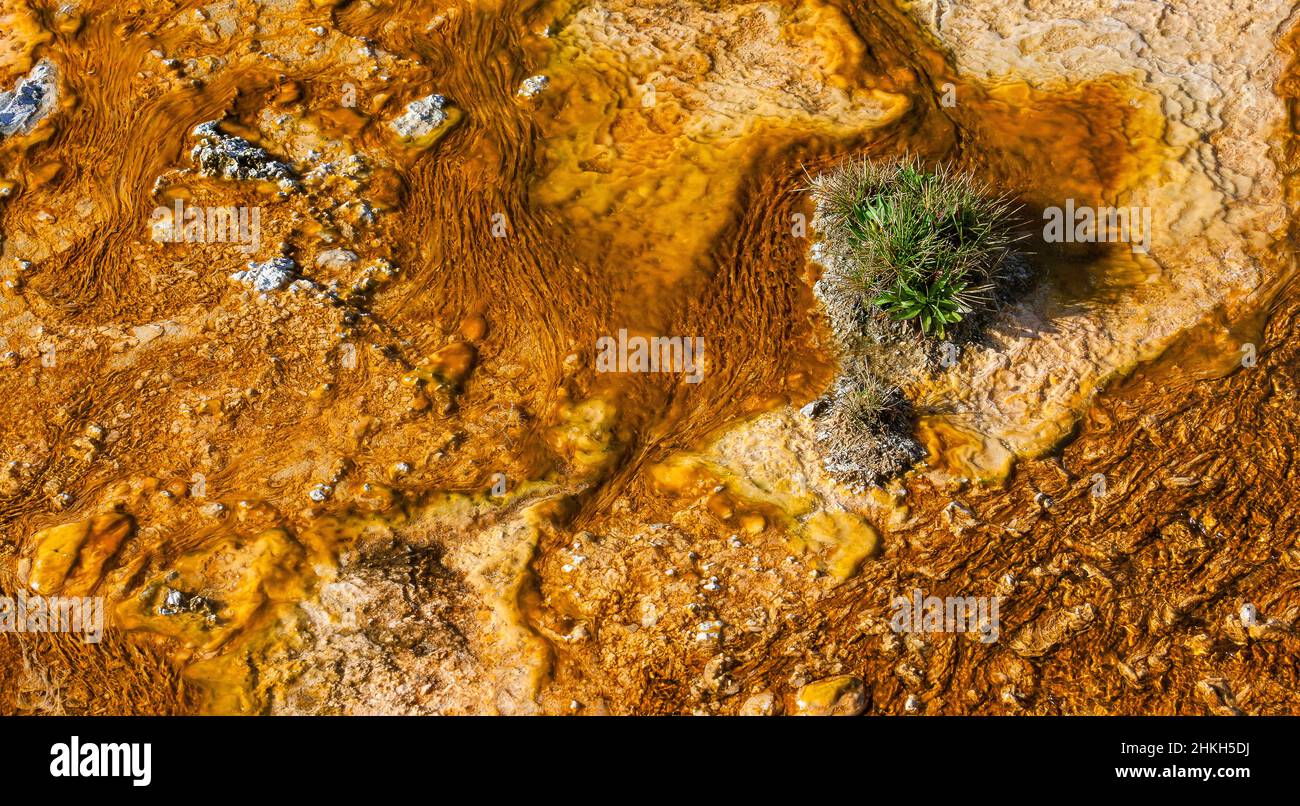 Yellowstone calcium pond Stock Photo - Alamy