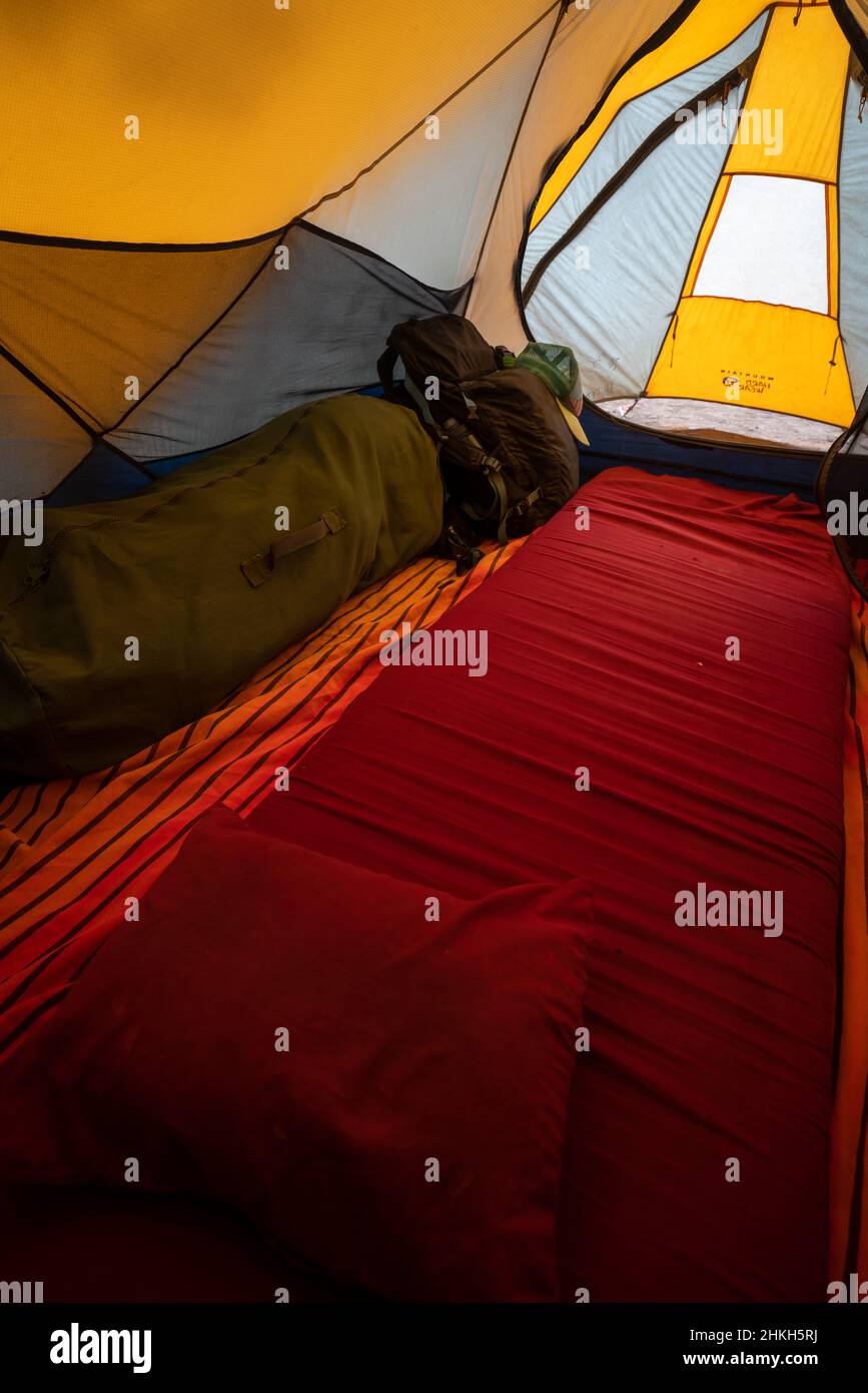 Meru national park lion hi-res stock photography and images - Alamy
