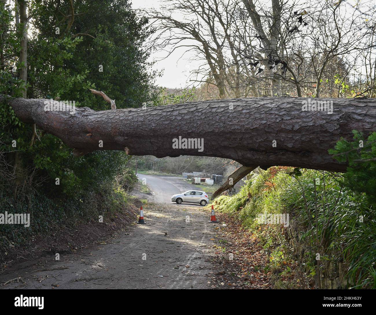 Storm Arwen hit Scotland with widespread damage to power lines, trees ...