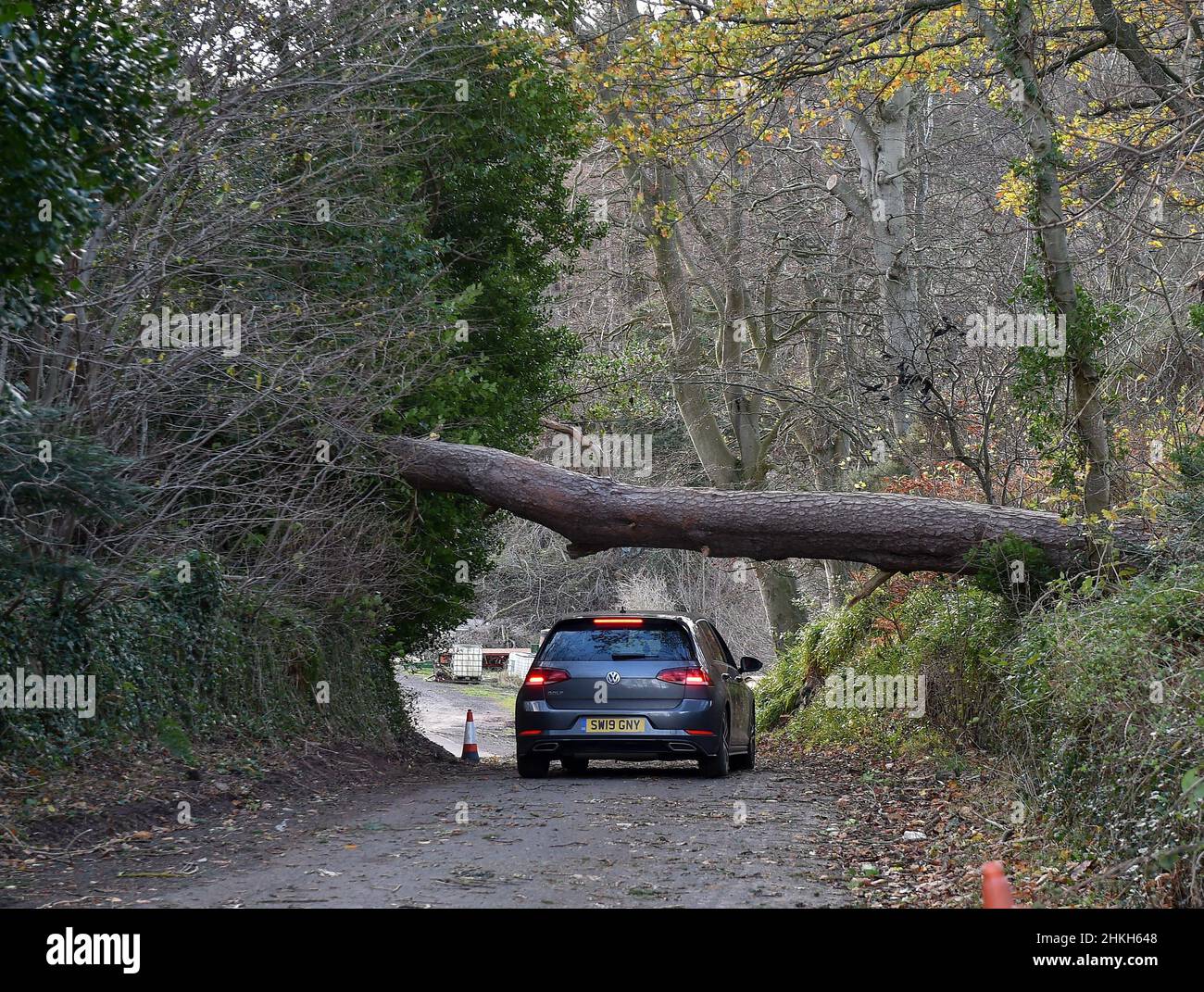 Storm Arwen hit Scotland with widespread damage to power lines, trees ...