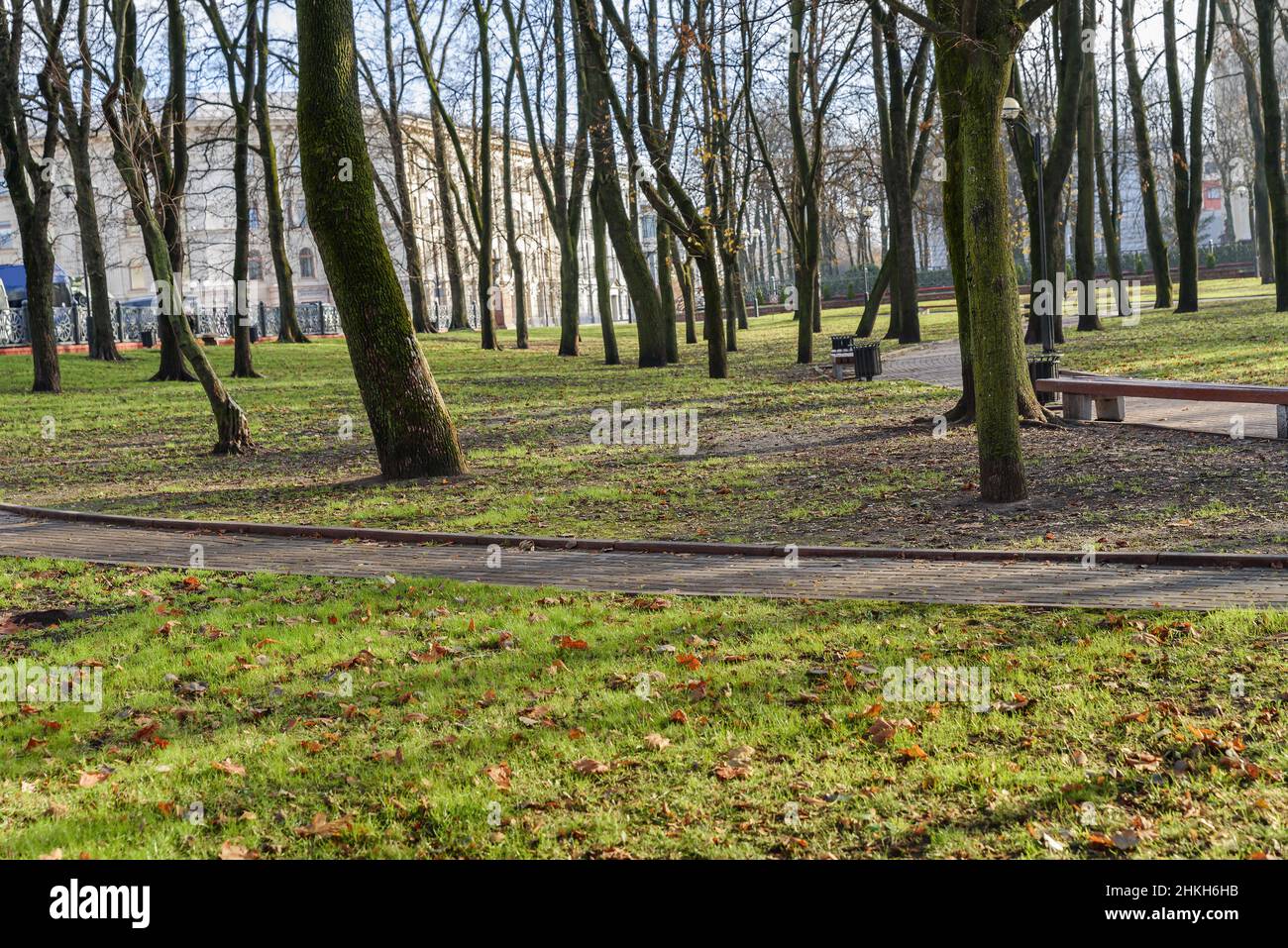 Beautiful city path in the Park in Minsk Stock Photo - Alamy