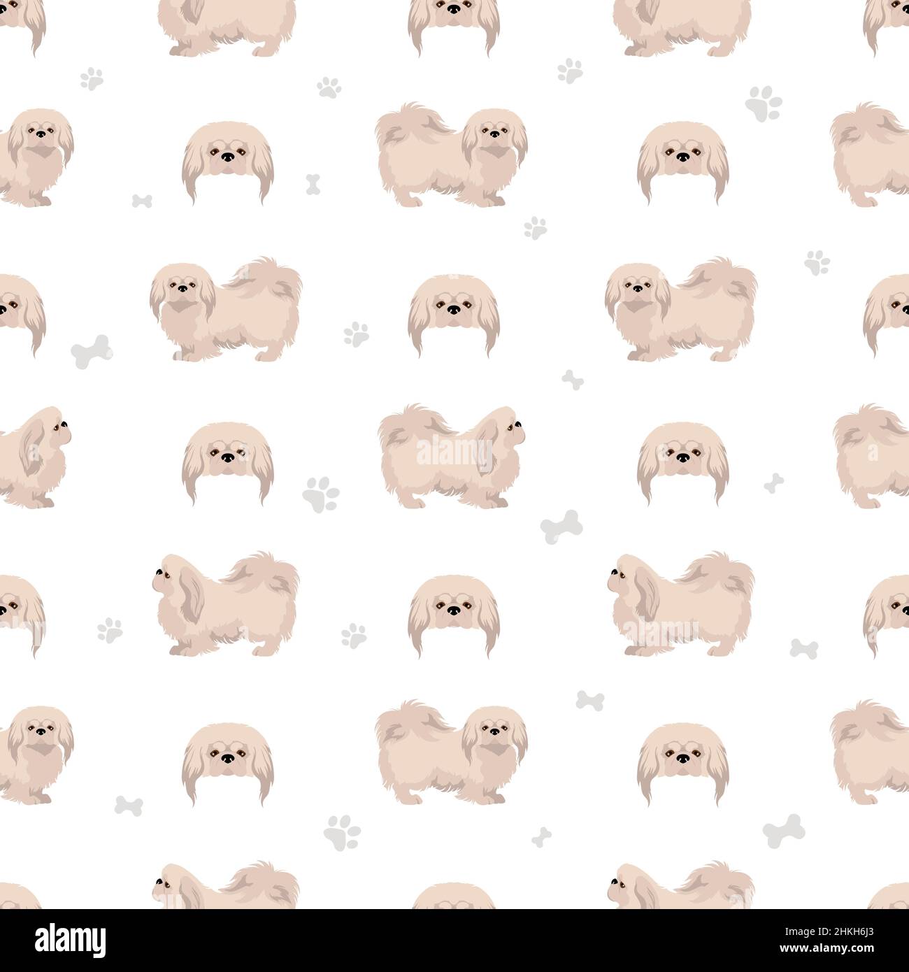 Pekingese dog seamless pattern. Different poses, coat colors set ...