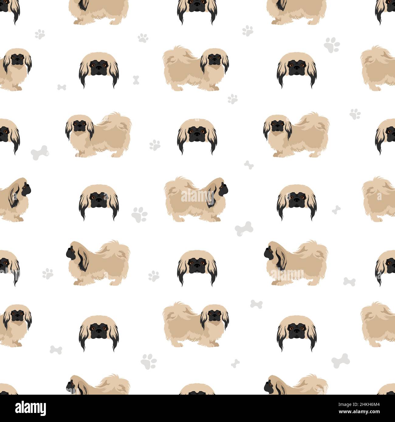 Pekingese dog seamless pattern. Different poses, coat colors set ...