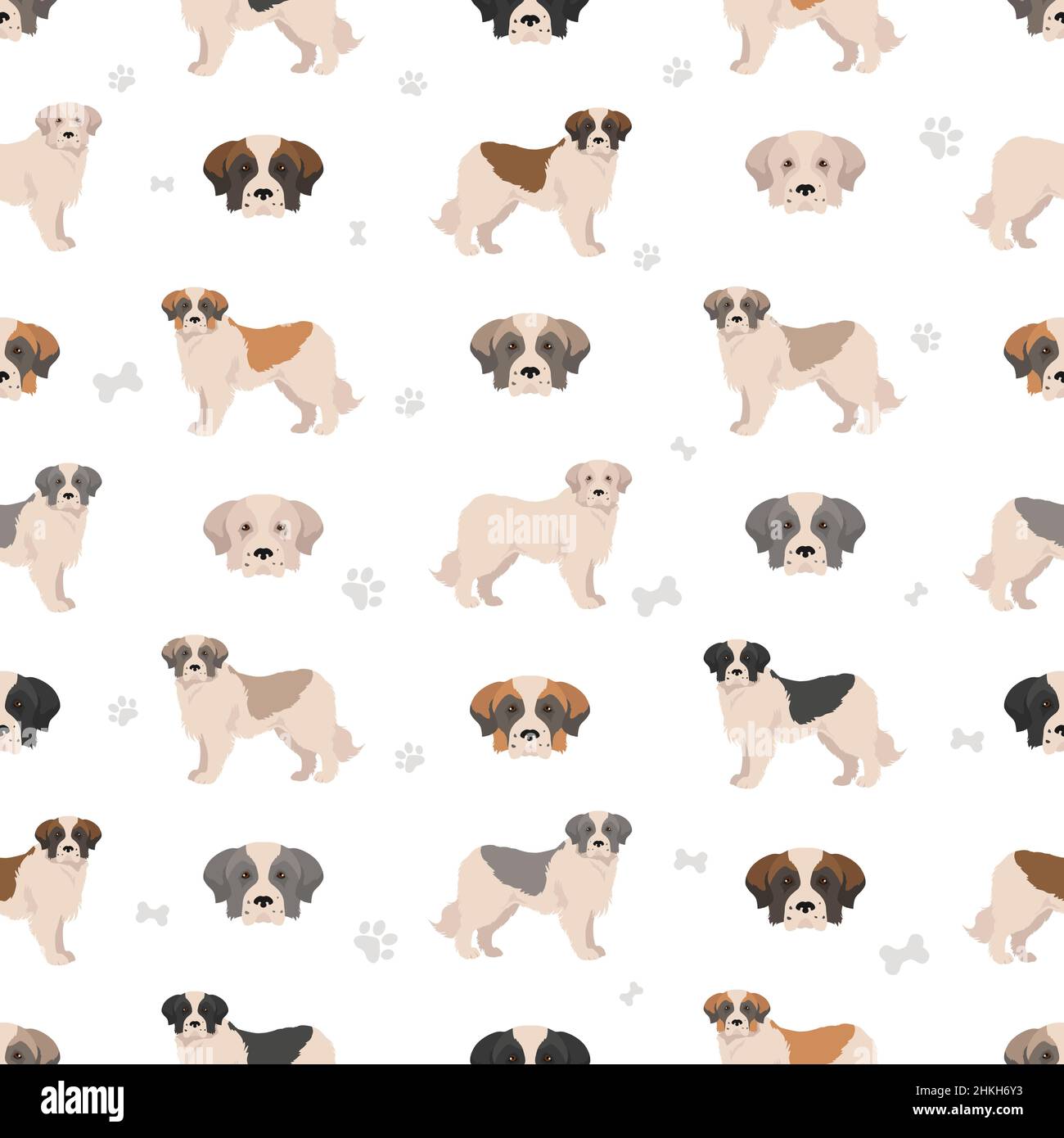 Pyrenean mastiff seamless pattern. Different poses, coat colors set ...
