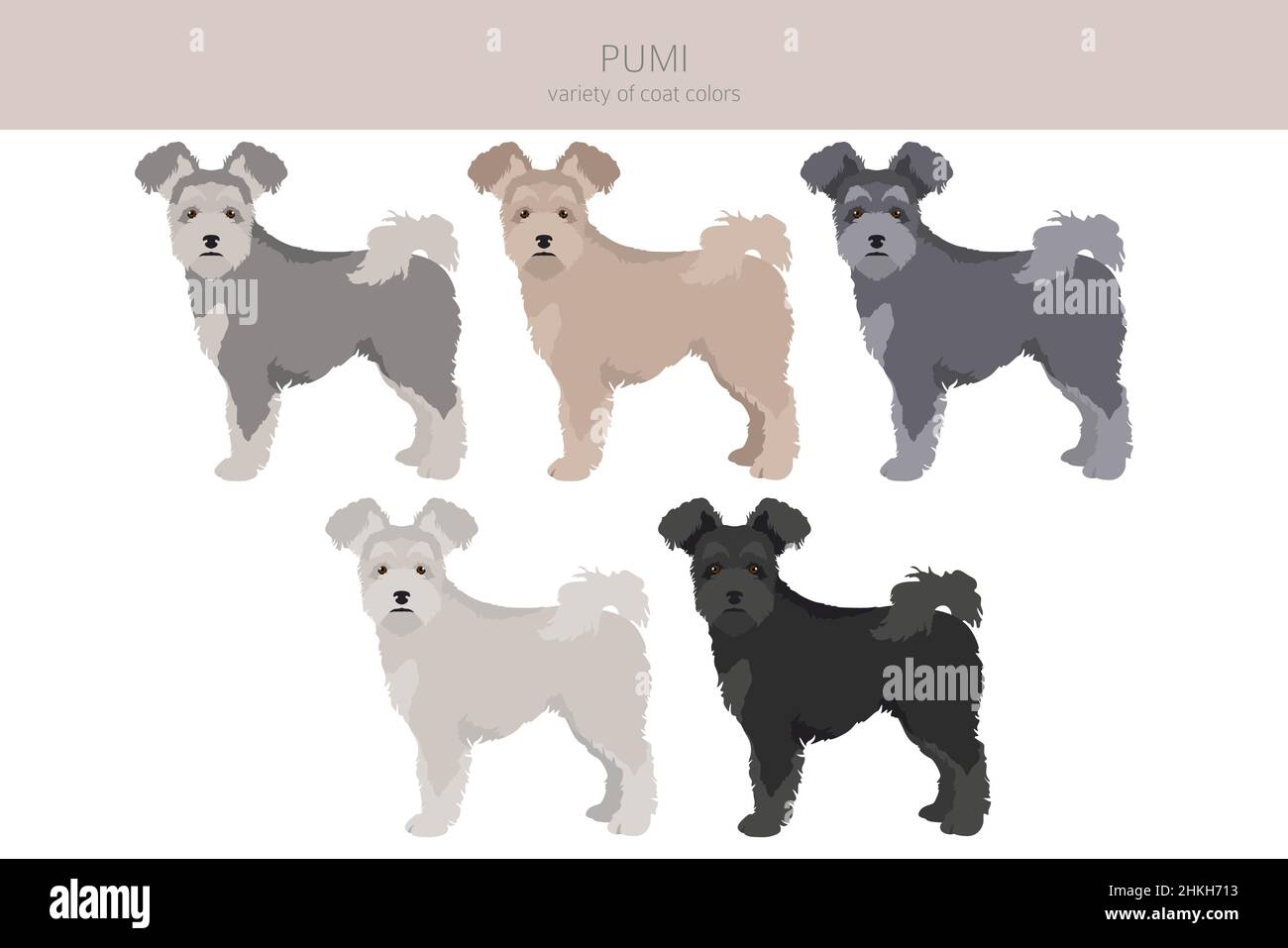 Pumi Colors High Resolution Stock Photography and Images - Alamy
