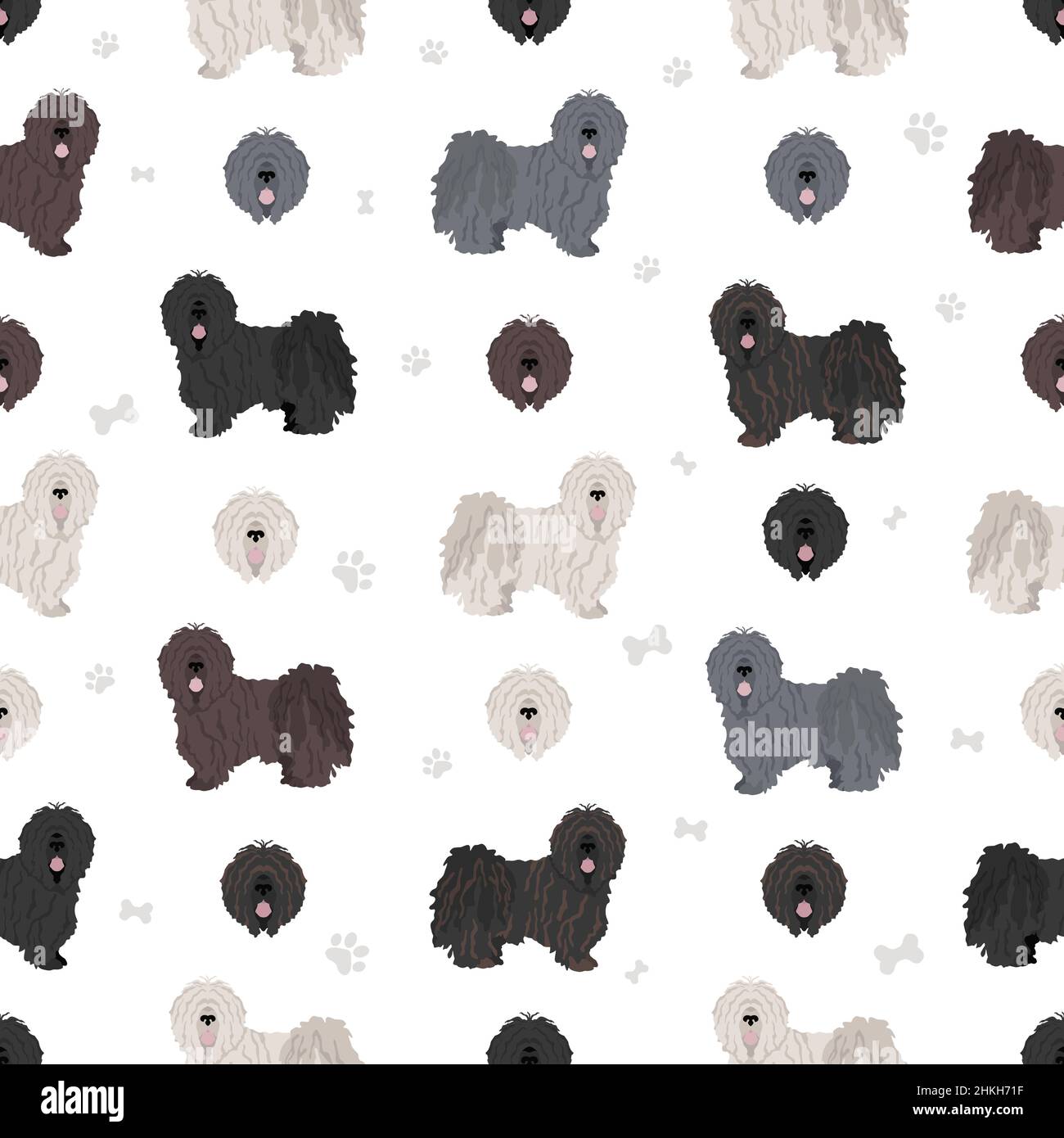 Puli seamless pattern. Different poses, coat colors set. Vector ...