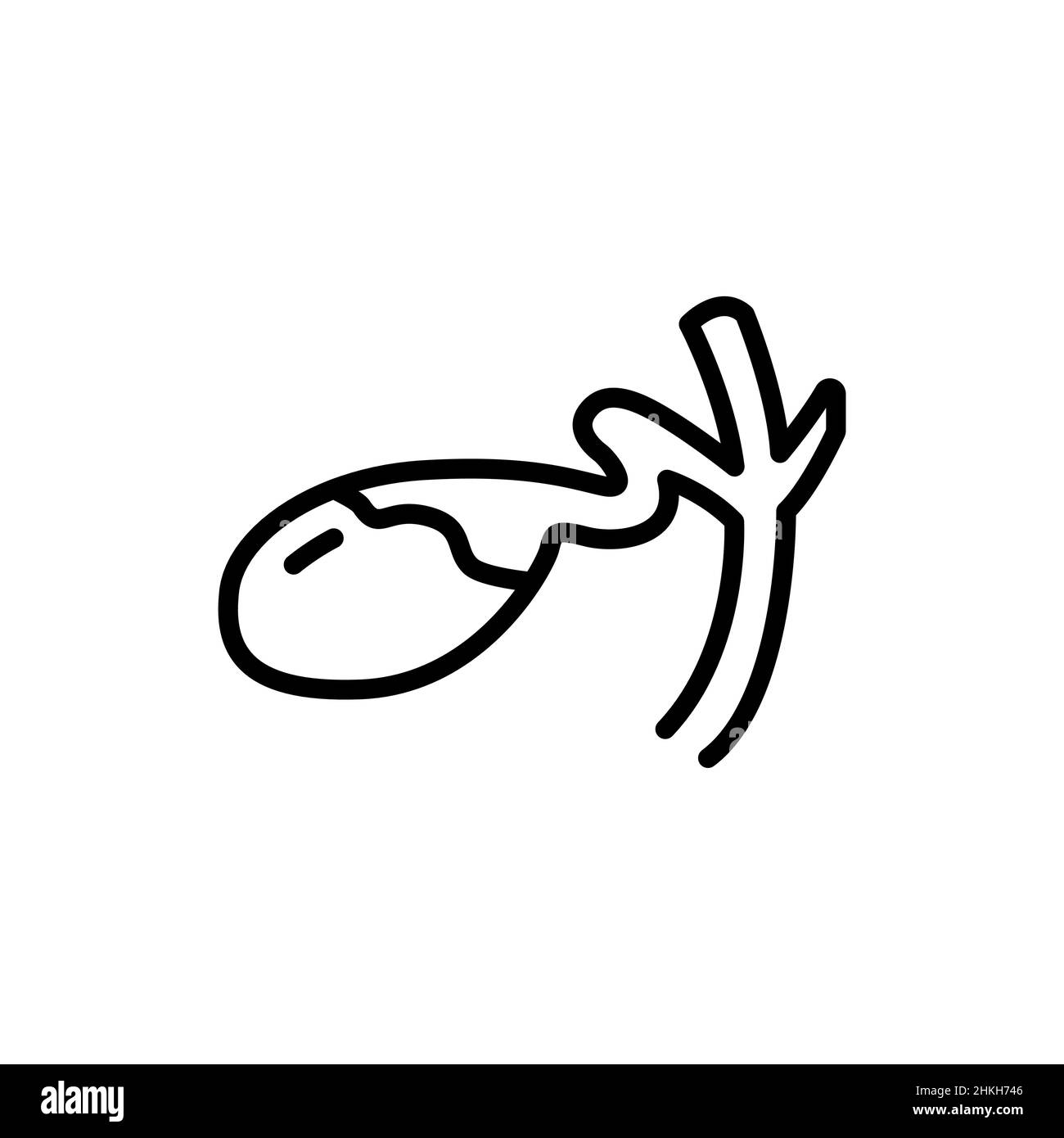 Human organ gall bladder color line icon. Isolated vector element ...