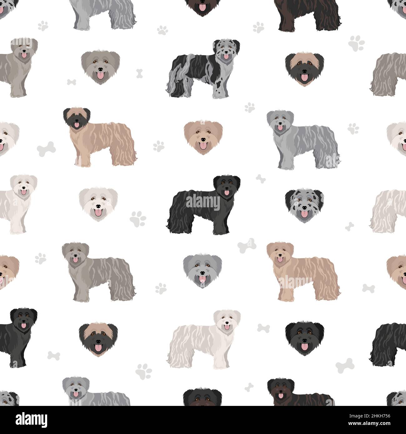 Long haired goat Stock Vector Images - Alamy