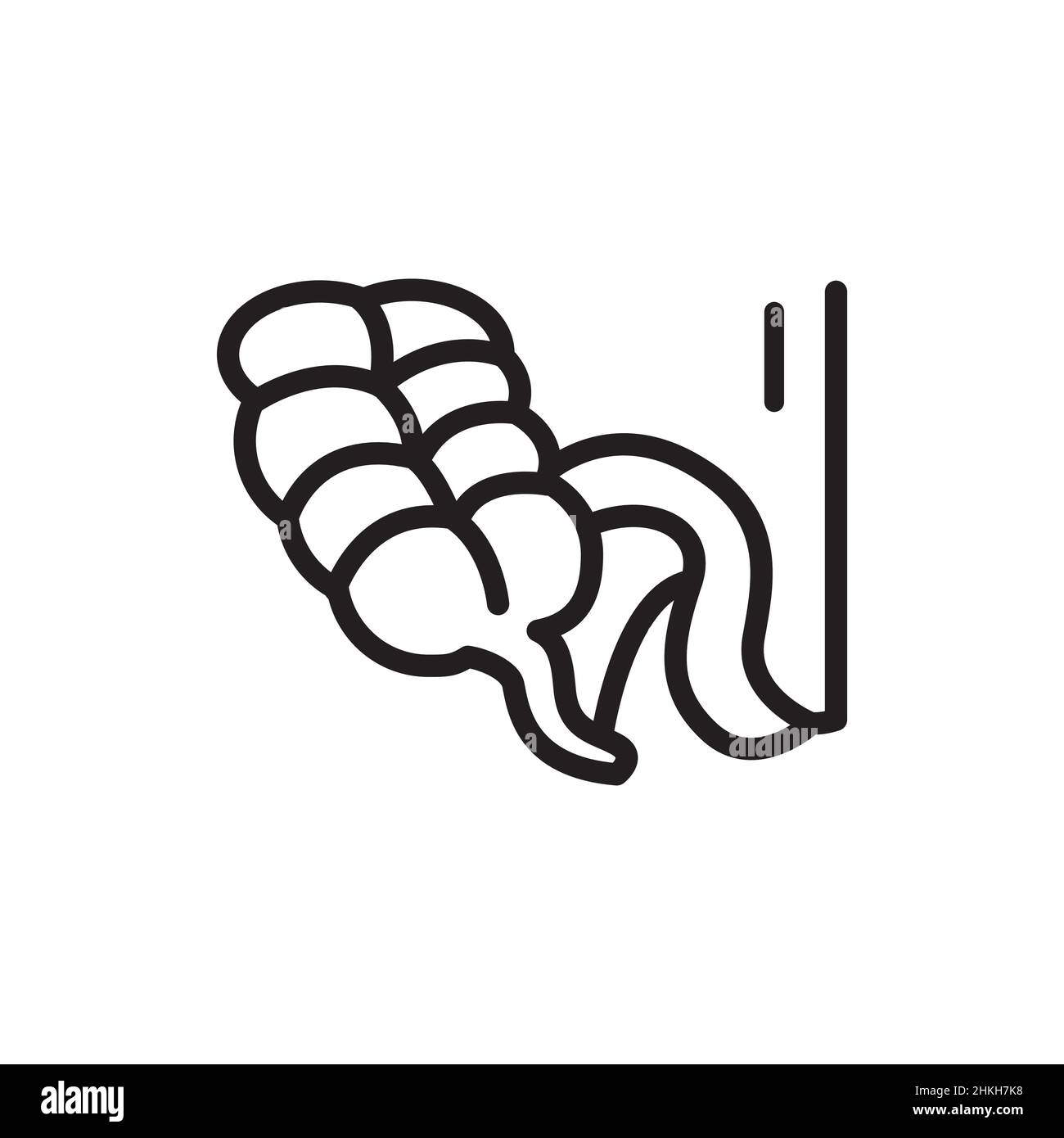 Human Organ Appendix Color Line Icon Isolated Vector Element Outline