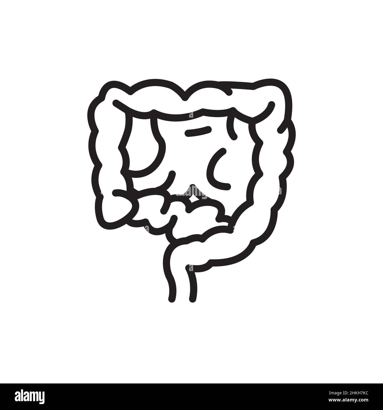 Human Organ Intestines Color Line Icon Isolated Vector Element Outline Pictogram For Web Page