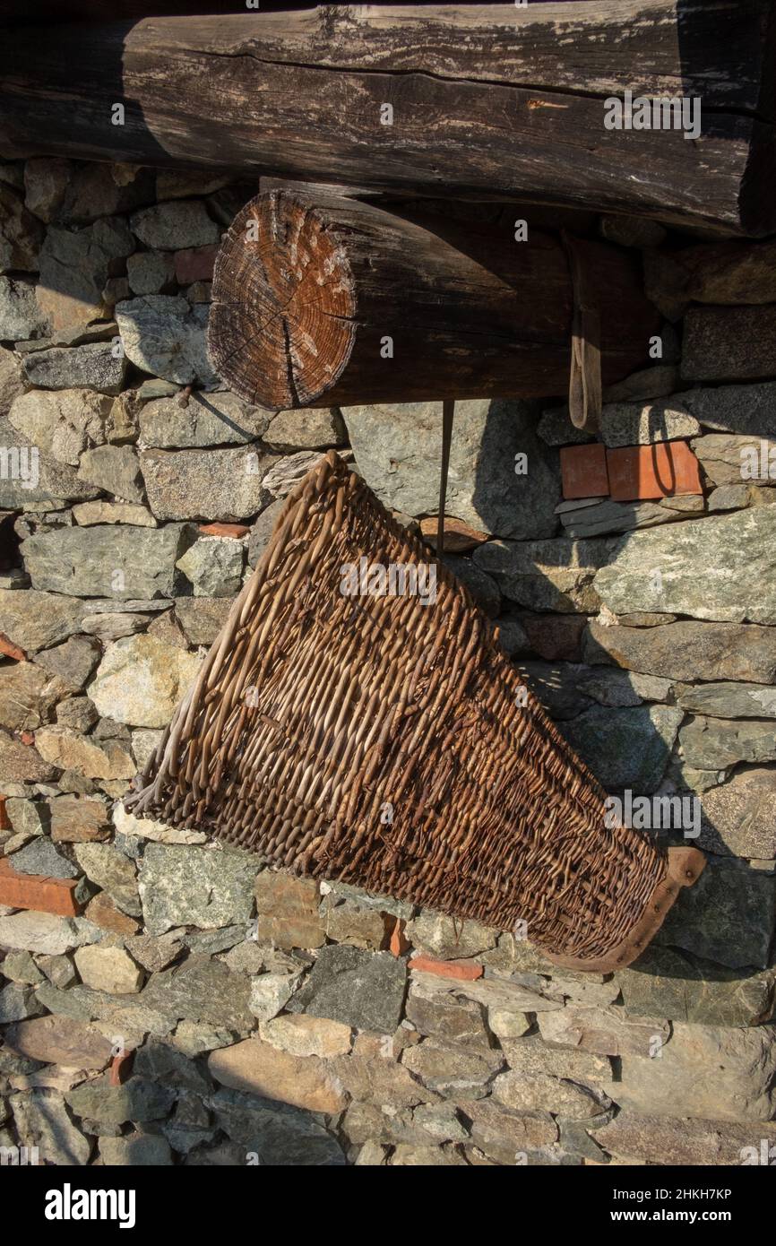 the pannier, a basket made of wood, wicker or viburnum intertwined in ...